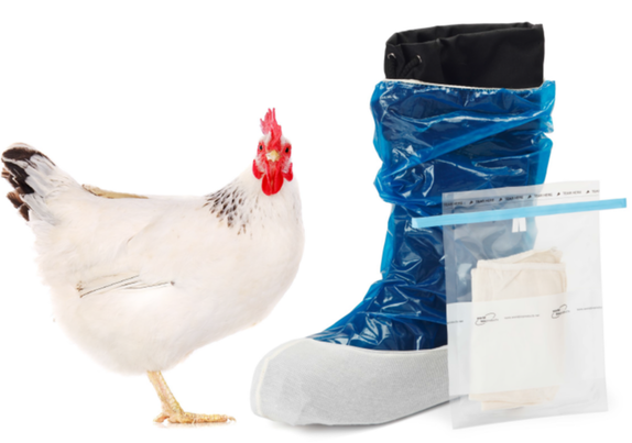 Goraksh Techno Solutions